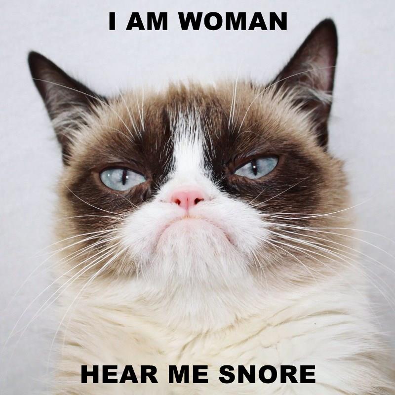 Snore - Lolcats - lol | cat memes | funny cats | funny cat pictures ...