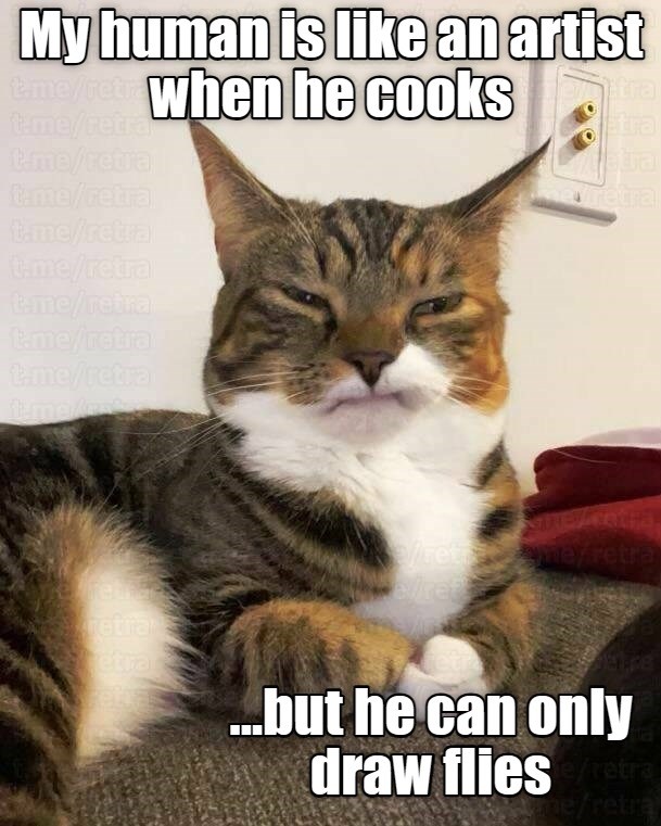 He won't make any Monet - Lolcats - lol | cat memes | funny cats ...