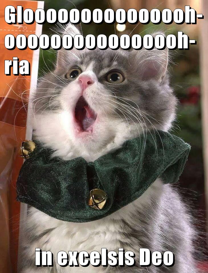 Glooooooooooooooh-oooooooooooooooh-ria - Lolcats - lol | cat memes ...