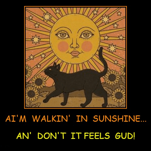 Walkin' on sunshine - Lolcats - lol | cat memes | funny cats | funny ...