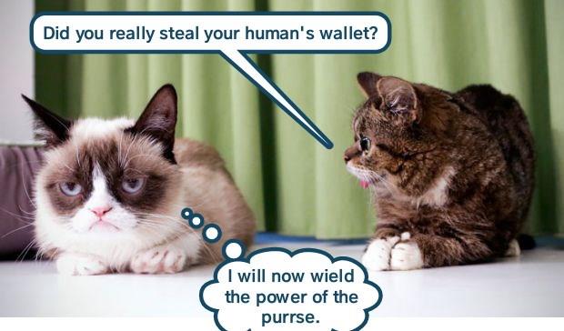 Grumpy takeover - Lolcats - lol | cat memes | funny cats | funny cat ...