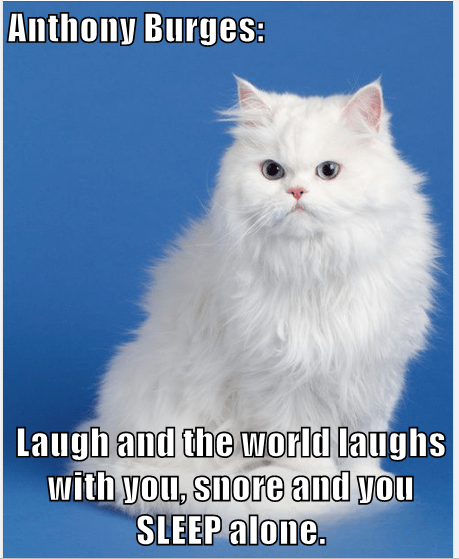 Snore - Lolcats - lol | cat memes | funny cats | funny cat pictures ...