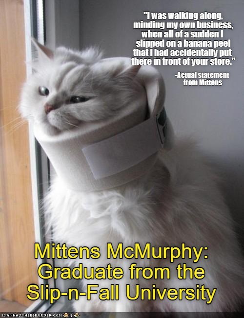 He'll Get $50k For Pain and Suffering - Lolcats - lol | cat memes ...
