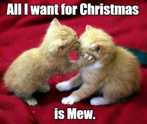 Eat your heart out Mariah! - Lolcats - lol | cat memes | funny cats ...