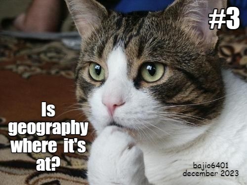 CAT QUESTIONS #3 - Lolcats - lol | cat memes | funny cats | funny cat ...
