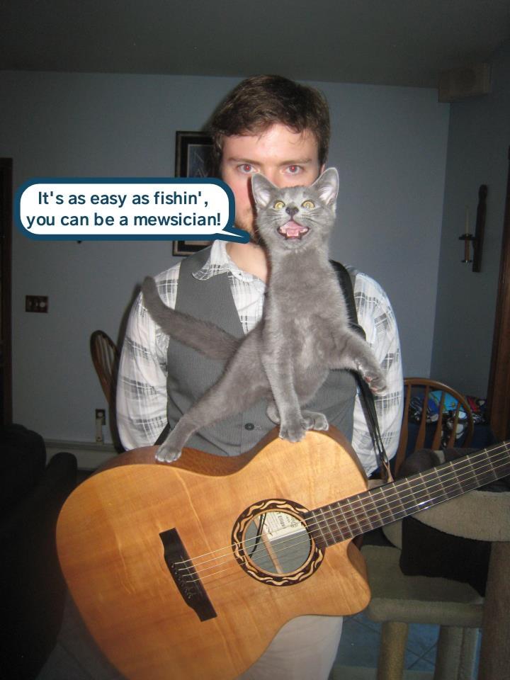 Taking care of kittness - Lolcats - lol | cat memes | funny cats ...