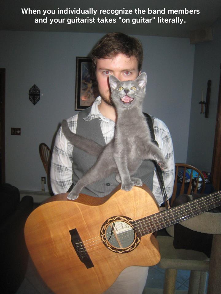 That's me! (With apologies to MallardVHS) - Lolcats - lol | cat memes ...