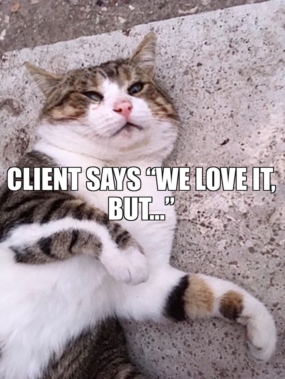 We love it, but... - Lolcats - lol | cat memes | funny cats | funny cat ...