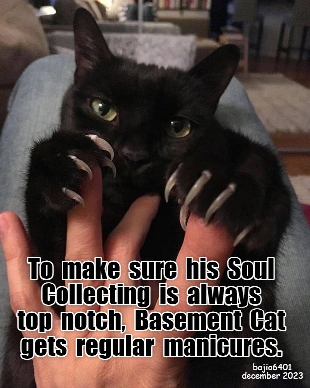 He stays sharp - Lolcats - lol | cat memes | funny cats | funny cat ...