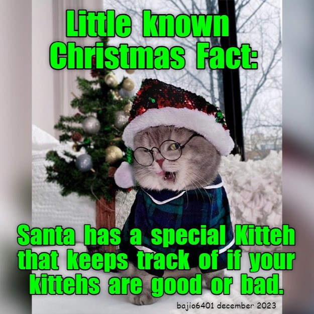 Better be good - Lolcats - lol | cat memes | funny cats | funny cat ...