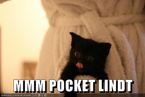 MMM - Lolcats - lol | cat memes | funny cats | funny cat pictures with words on them | funny ...