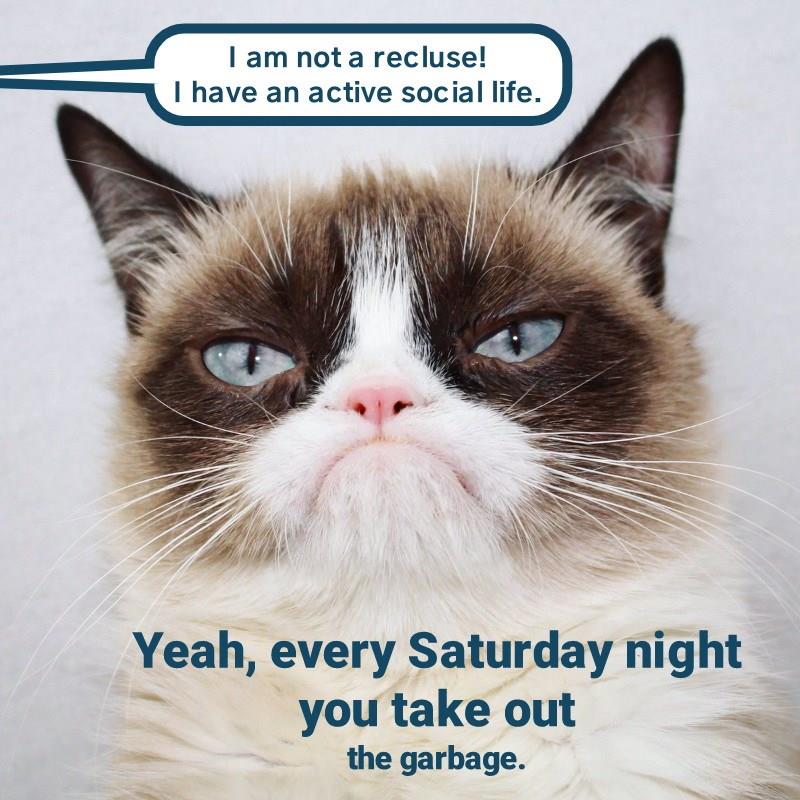 Ouch - Lolcats - lol | cat memes | funny cats | funny cat pictures with ...