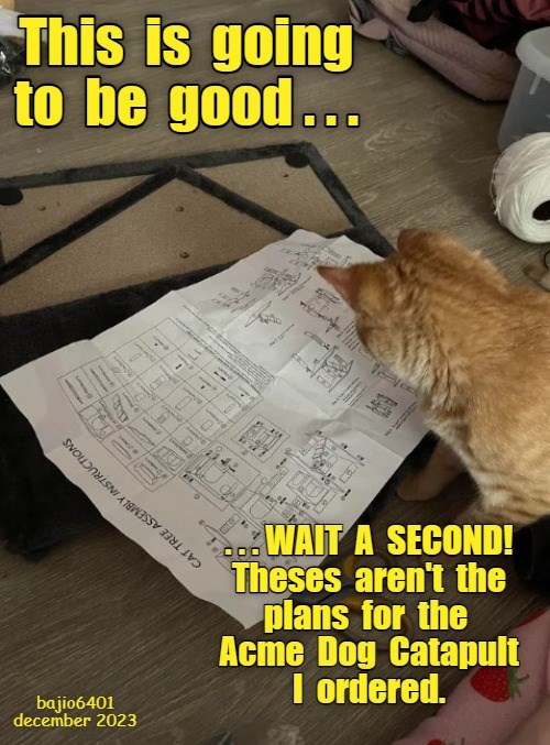 Foiled again - Lolcats - lol | cat memes | funny cats | funny cat ...