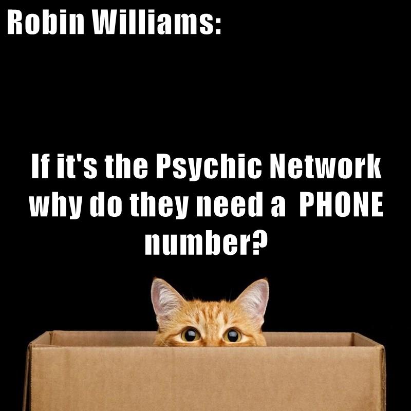 Robin Meowlliams - Lolcats - lol | cat memes | funny cats | funny cat ...
