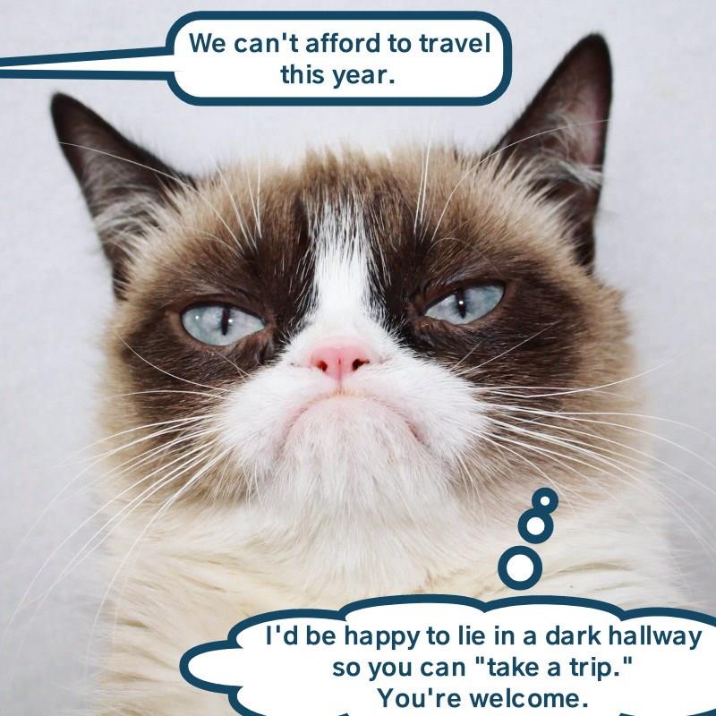 Grumpily "helpful" - Lolcats - lol | cat memes | funny cats | funny cat ...