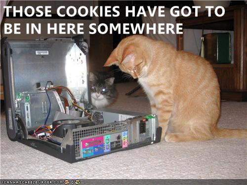 Elusive Cookies - Lolcats - lol | cat memes | funny cats | funny cat ...