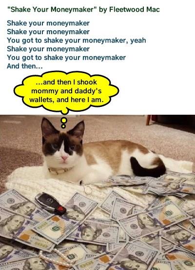 "Shake Your Moneymaker" by Fleetwood Mac - Lolcats - lol | cat memes ...
