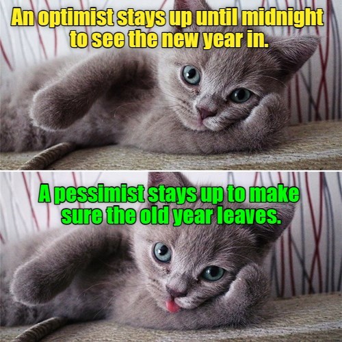 Which will you be on New Year's Eve? - Lolcats - lol | cat memes ...