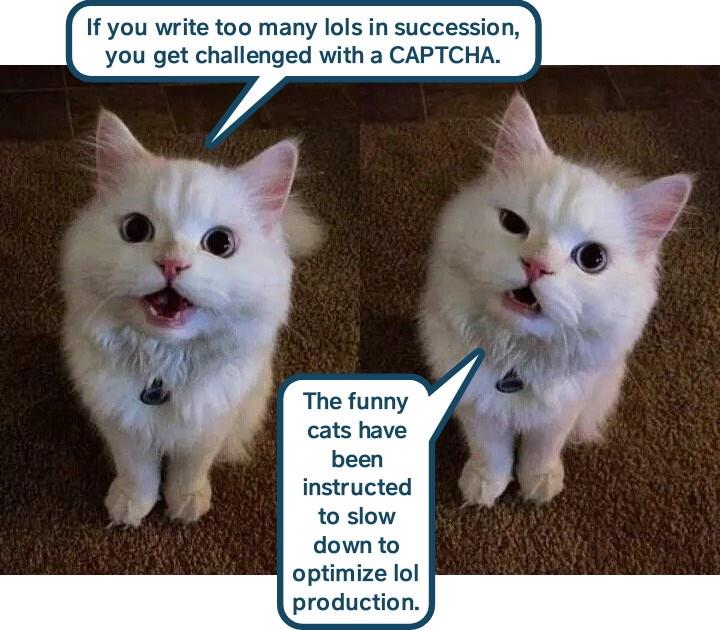 Slow your lol - Lolcats - lol | cat memes | funny cats | funny cat ...