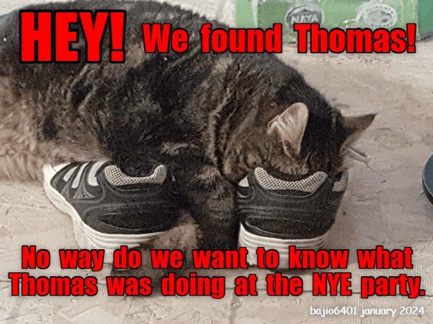 Party hard - Lolcats - lol | cat memes | funny cats | funny cat ...