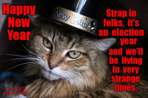 Bumpy ride - Lolcats - lol | cat memes | funny cats | funny cat ...