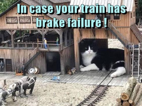 Brake in case of feline emergency - Lolcats - lol | cat memes | funny ...