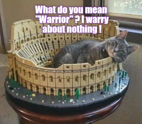 The Gladiator - Lolcats - lol | cat memes | funny cats | funny cat ...