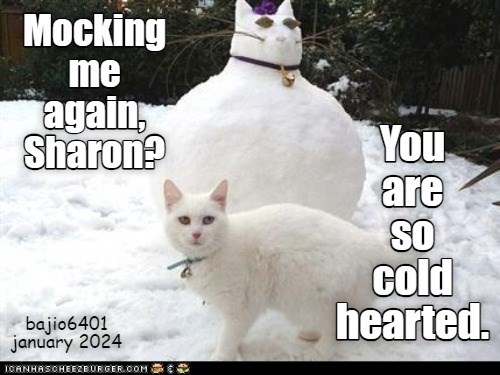 Why, Sharon? - Lolcats - lol | cat memes | funny cats | funny cat ...
