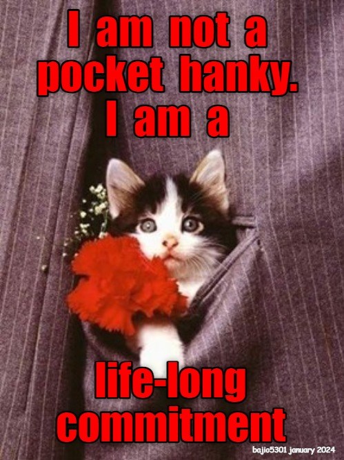 Commitment - Lolcats - lol | cat memes | funny cats | funny cat ...