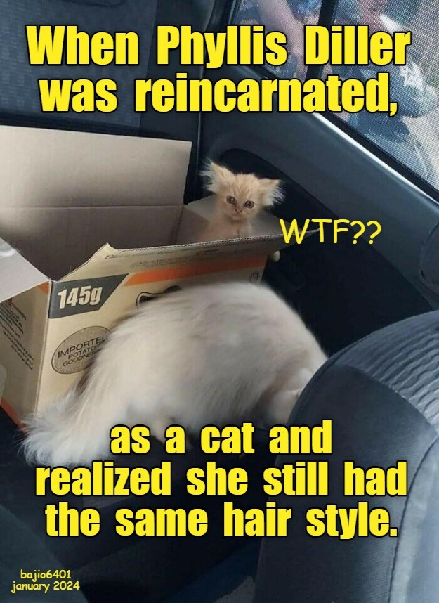 Not fair - Lolcats - lol | cat memes | funny cats | funny cat pictures ...
