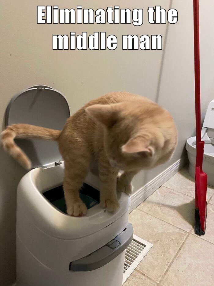 Efficiency - Lolcats - lol | cat memes | funny cats | funny cat ...