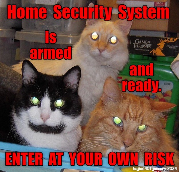 Enter at your own risk - Lolcats - lol | cat memes | funny cats | funny ...