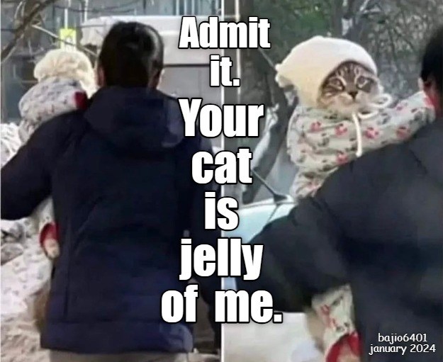 Don't be jelly - Lolcats - lol | cat memes | funny cats | funny cat ...