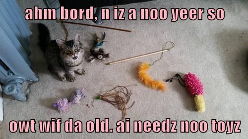 Noo year, noo toyz - I Can Has Cheezburger?