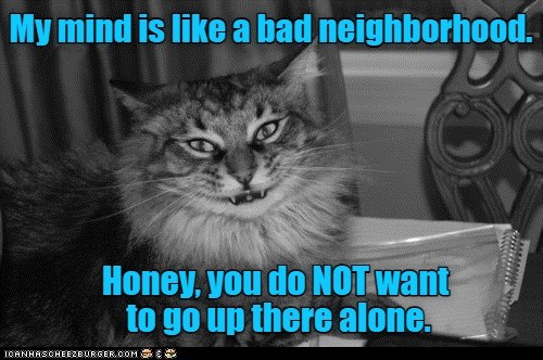 Danger! - Lolcats - lol | cat memes | funny cats | funny cat pictures ...