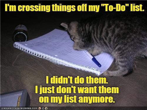 Get-r-done. - Lolcats - lol | cat memes | funny cats | funny cat ...
