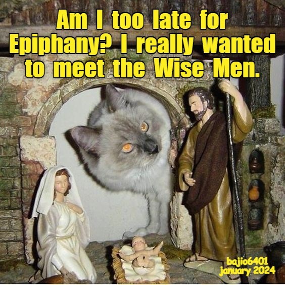 Heck - Lolcats - lol | cat memes | funny cats | funny cat pictures with ...