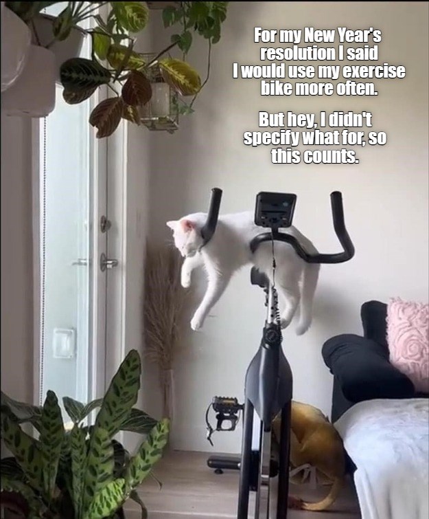 yup - Lolcats - lol | cat memes | funny cats | funny cat pictures with ...