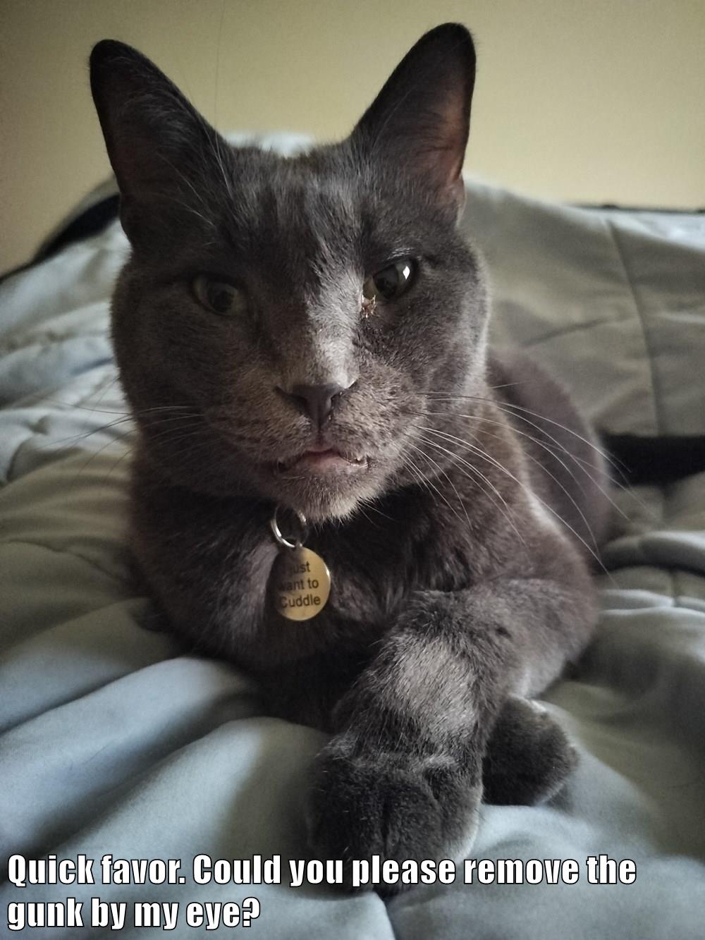 And then I'll complain about it too - Lolcats - lol | cat memes | funny ...