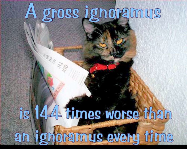 Guess which you are - Lolcats - lol | cat memes | funny cats | funny ...