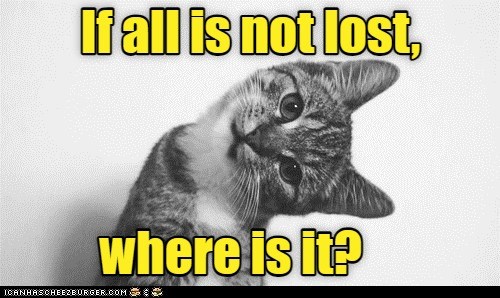 Questions that need to be asked. - Lolcats - lol | cat memes | funny ...