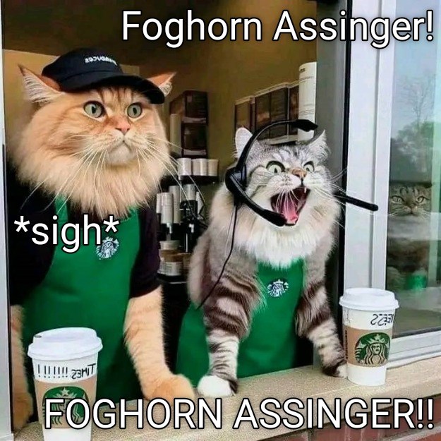 Is your refrigerator running?! - Lolcats - lol | cat memes | funny cats ...