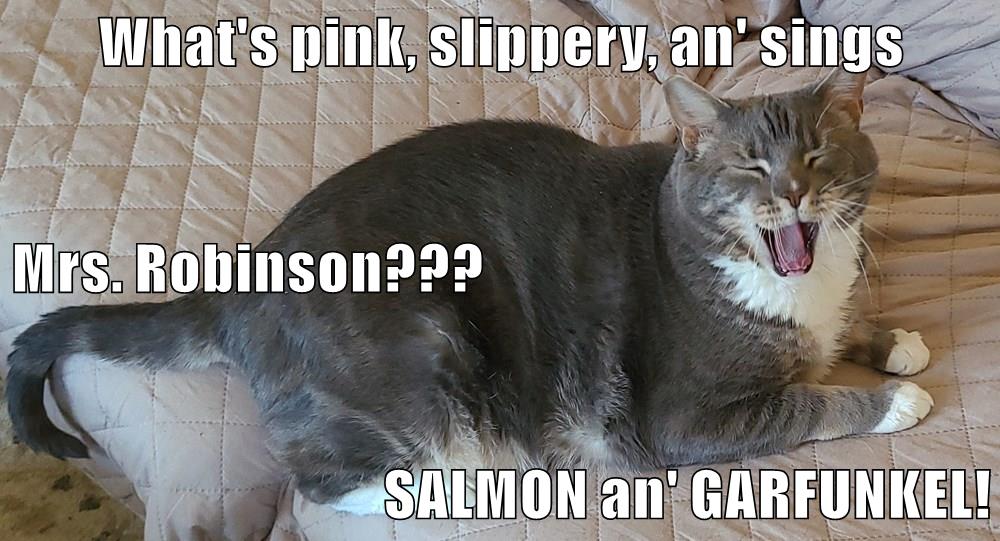 Salmon and Garfunkel - Lolcats - lol | cat memes | funny cats | funny ...
