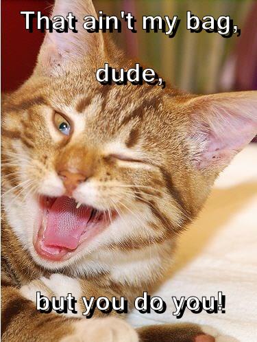 My bag dude - Lolcats - lol | cat memes | funny cats | funny cat ...