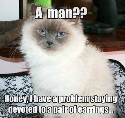 And dat's da troof - Lolcats - lol | cat memes | funny cats | funny cat ...