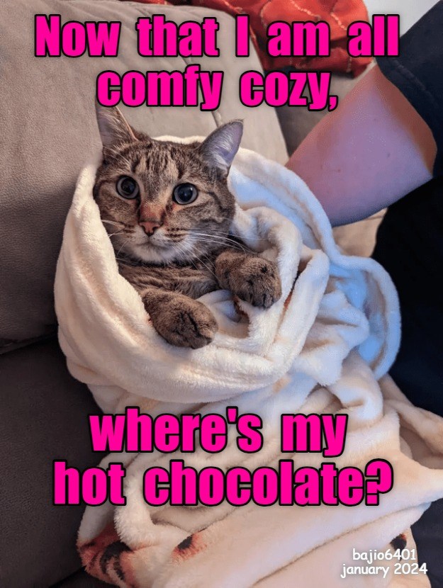 It's about the simple things - Lolcats - lol | cat memes | funny cats ...