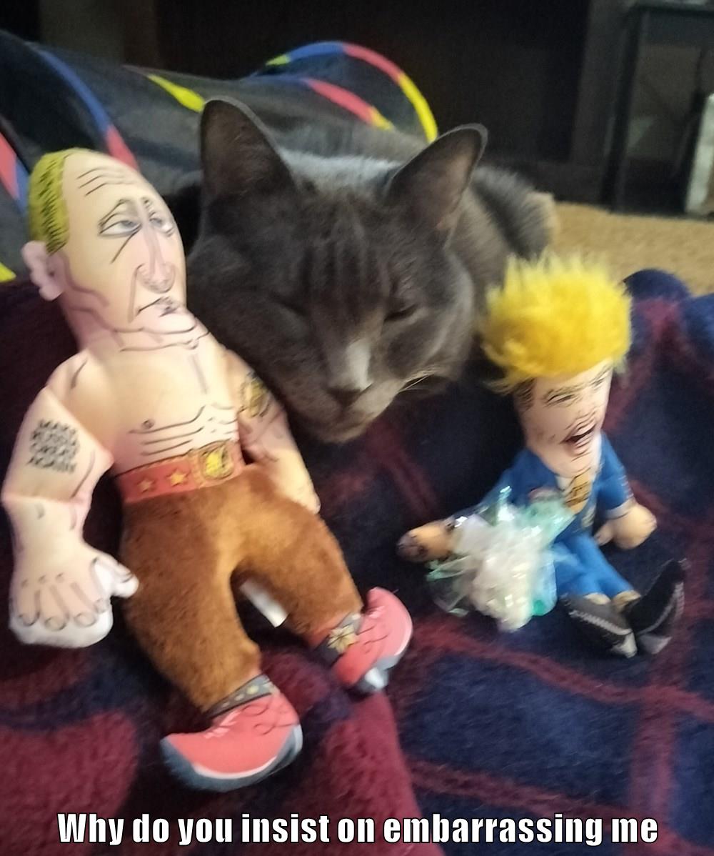 So embarrassing - Lolcats - lol | cat memes | funny cats | funny cat ...