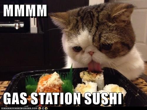 Mmmmm - Lolcats - lol | cat memes | funny cats | funny cat pictures ...