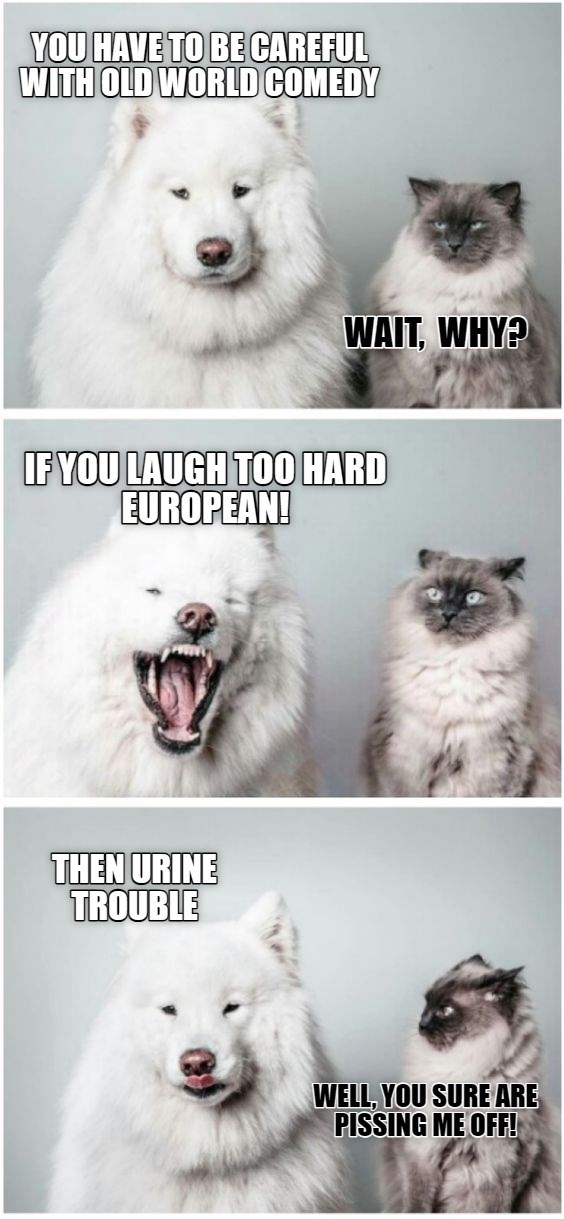 Old world comedy - Lolcats - lol | cat memes | funny cats | funny cat ...