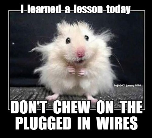 Lesson learned - Animal Comedy - Animal Comedy, funny animals, animal gifs